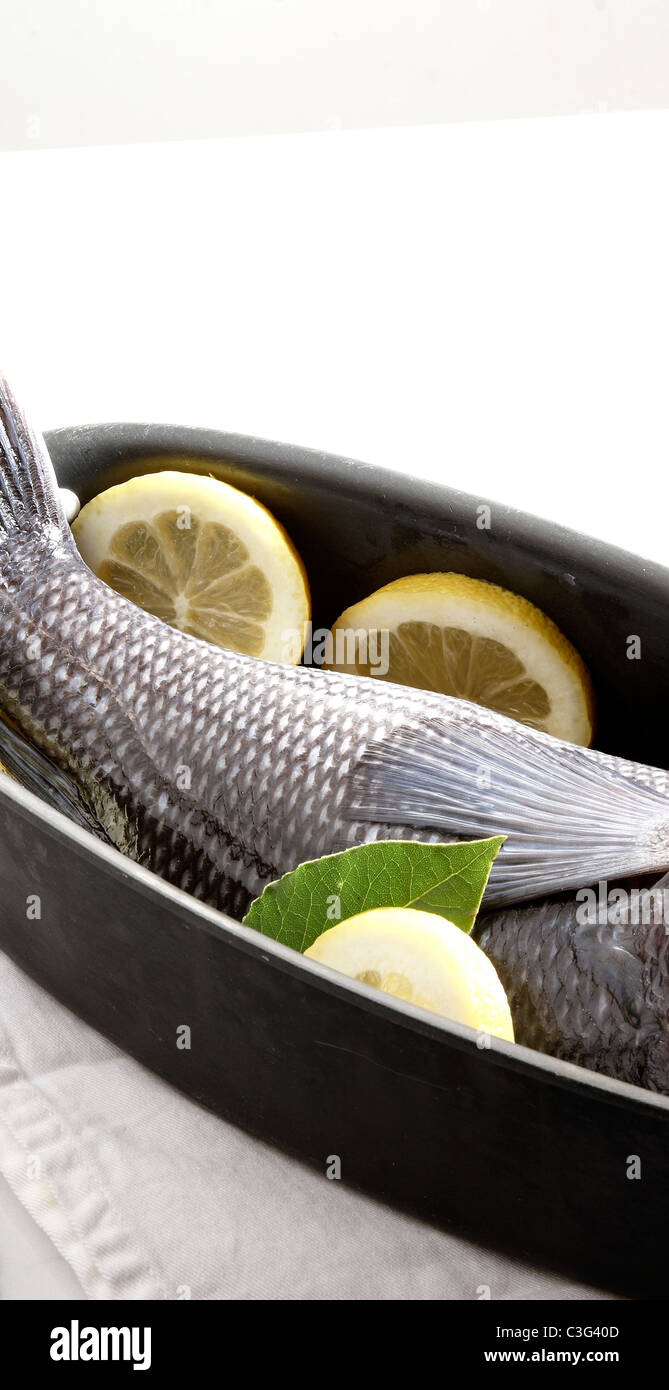 Sea bass fish hi-res stock photography and images - Alamy
