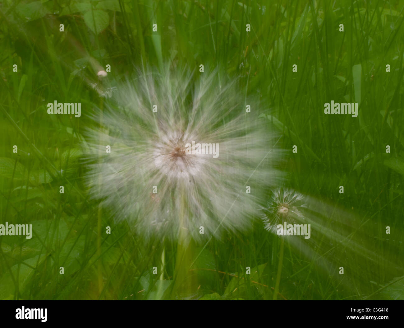 Natures abstract art hi-res stock photography and images - Alamy