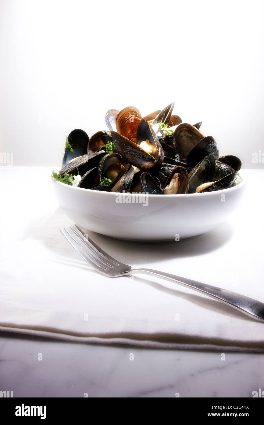 Muscle shell hi-res stock photography and images - Alamy