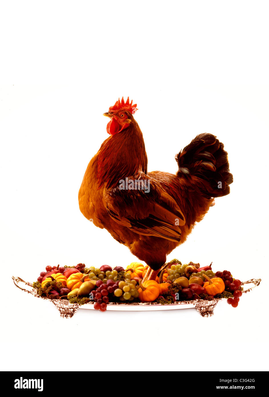 Rooster hi-res stock photography and images - Alamy