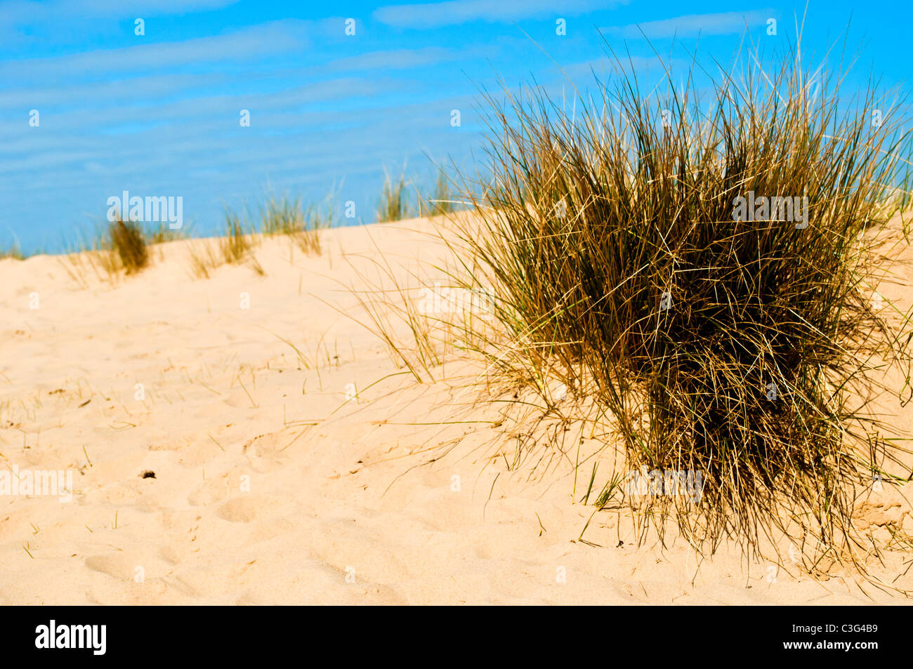 Grass beach sand hi-res stock photography and images - Alamy