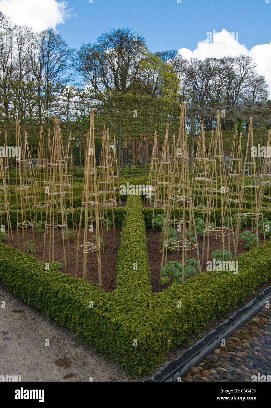 Cane wigwams Alnwick Castle Gardens Northumberland Stock Photo - Alamy
