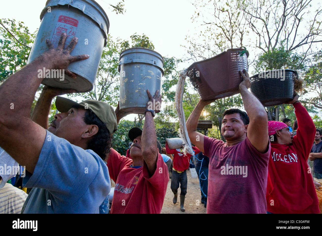 Coffee daily workers Central Valley Costa Rica Stock Photo - Alamy