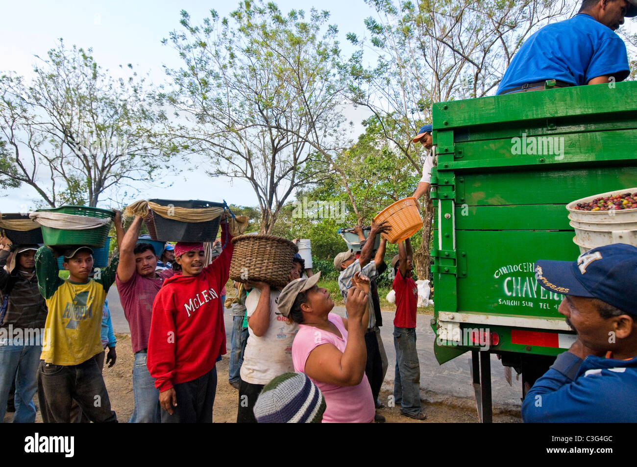 Coffee daily workers Central Valley Costa Rica Stock Photo - Alamy