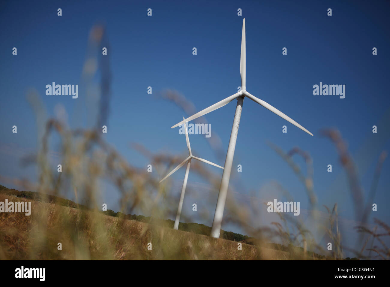 Wind turbines in crop fields Stock Photo - Alamy