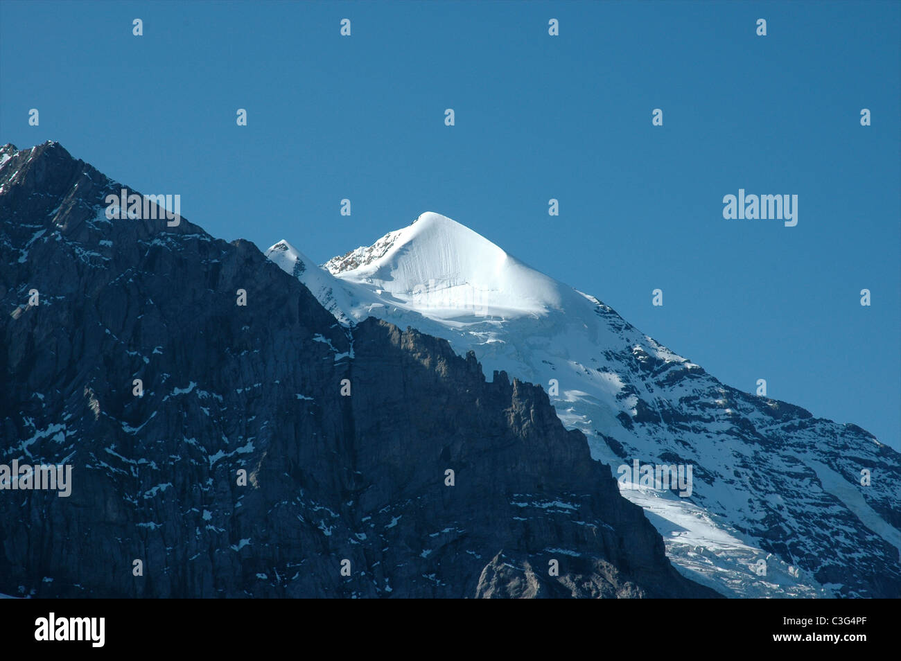 The icy peak of the Silberhorn behind craggy rocks, Bernese Oberland ...