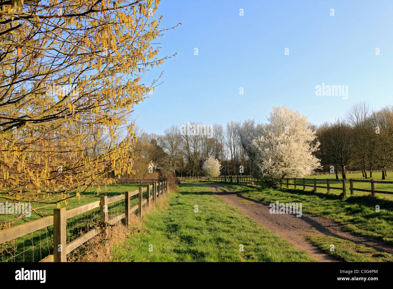 Horton Country Park, Epsom Surrey England UK Stock Photo - Alamy
