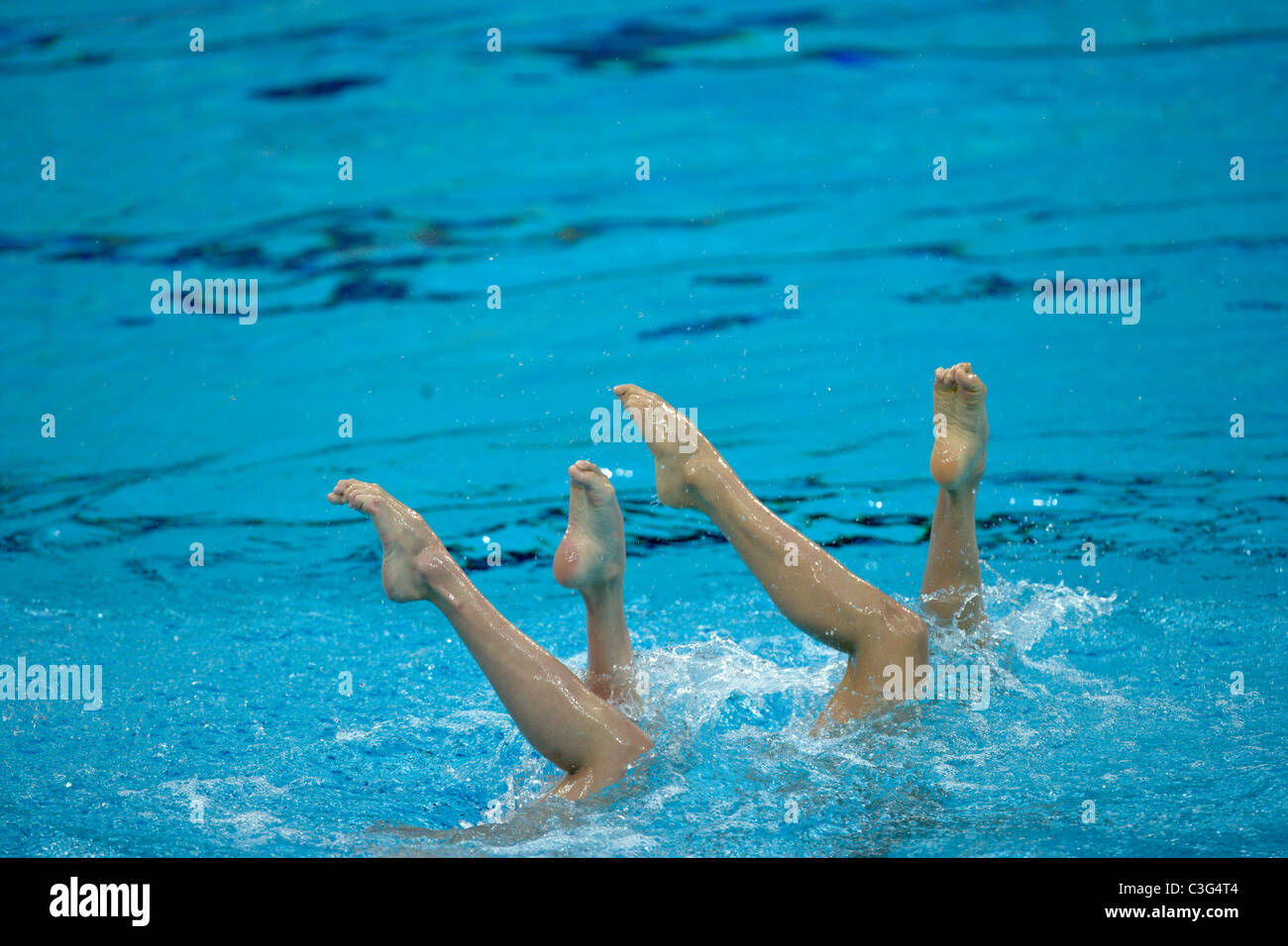 Competitors in Duet Synchronized Swimming at the 2008 Olympic Summer ...