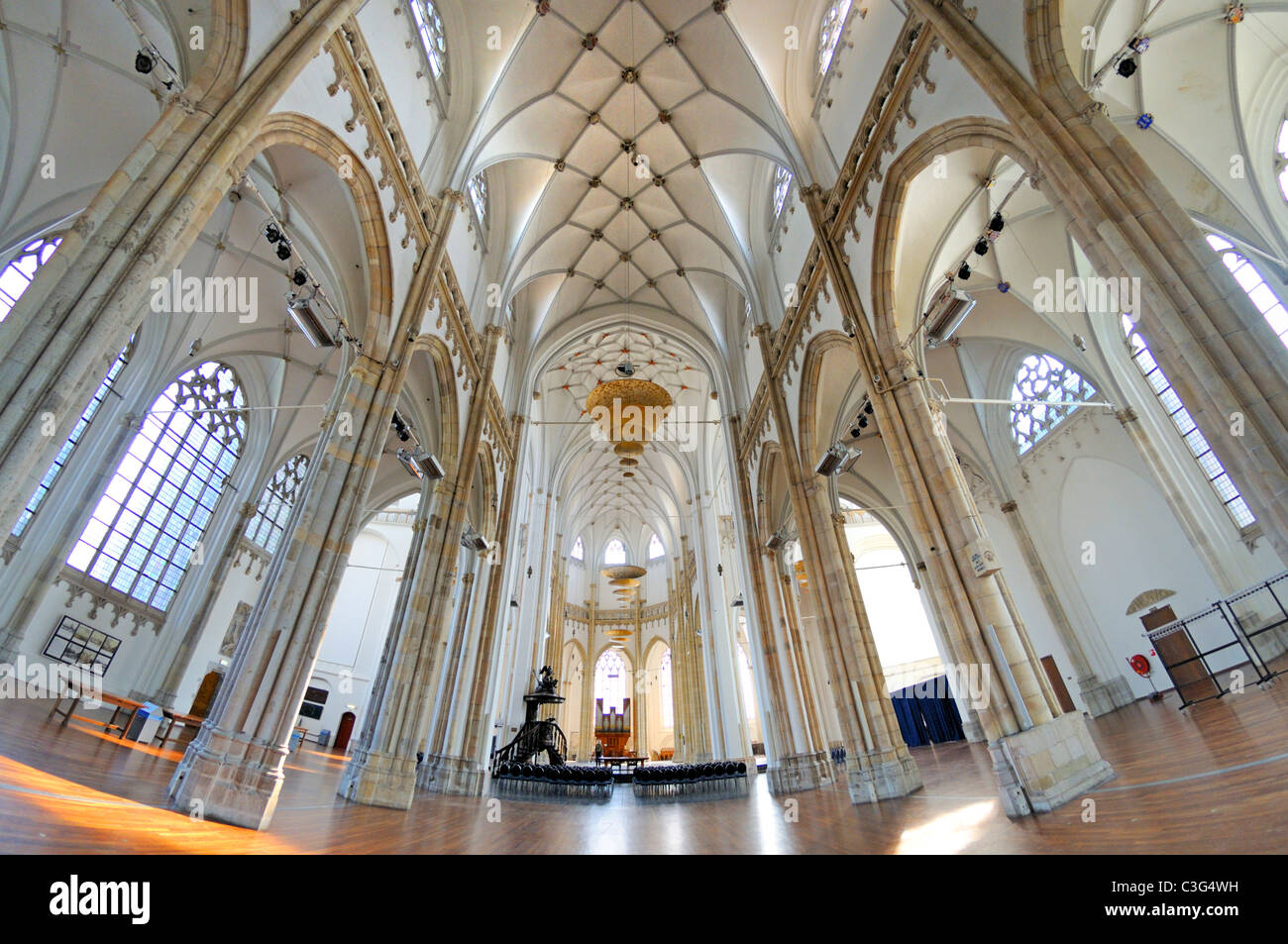 Arnhem, Netherlands. Grote Kerk (Church of St Eusebius - 1452) - fish ...