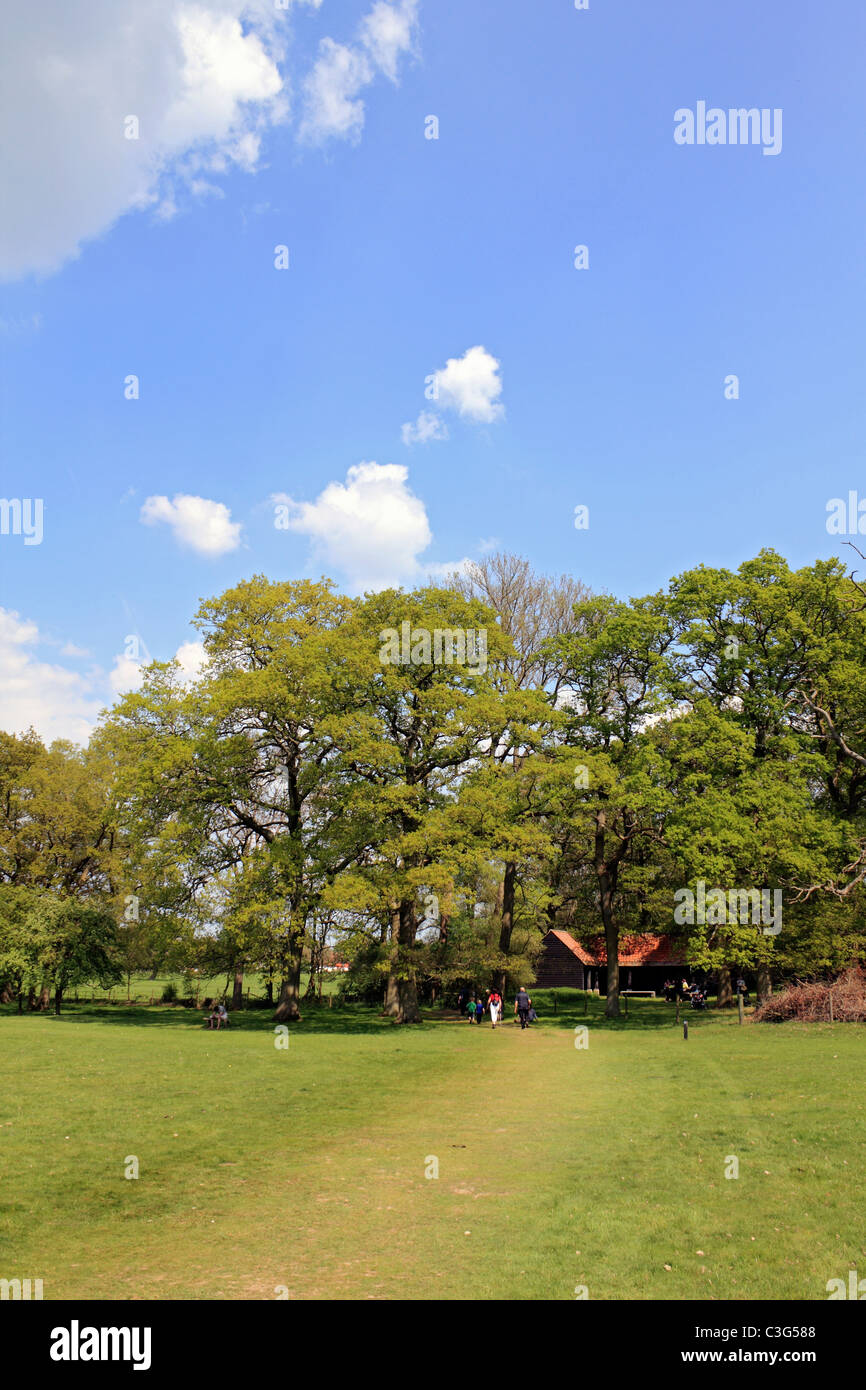 The Surrey countryside near Guildford England UK Stock Photo - Alamy