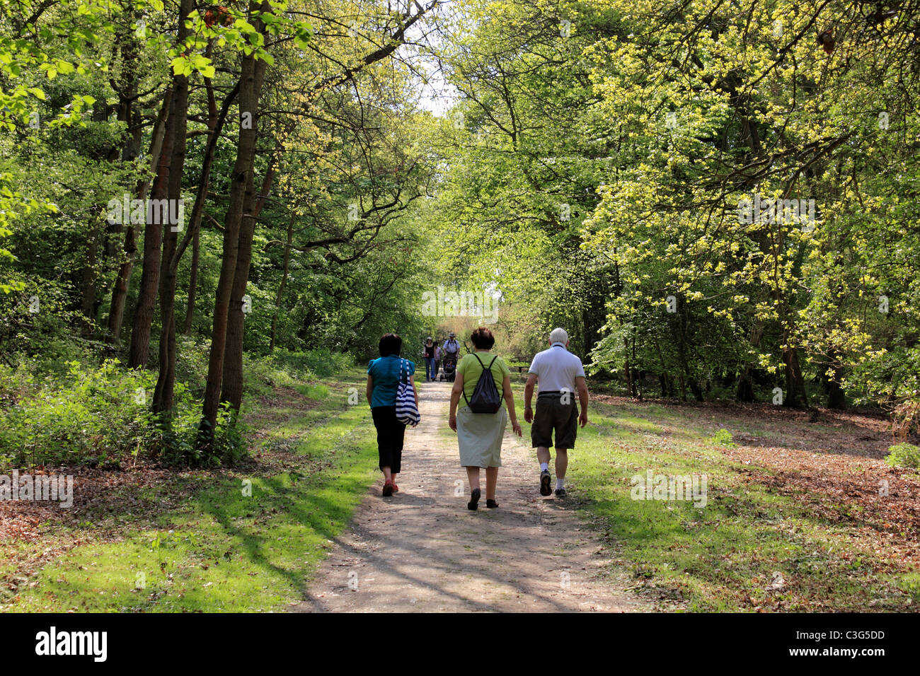 Guildford park track hi-res stock photography and images - Alamy