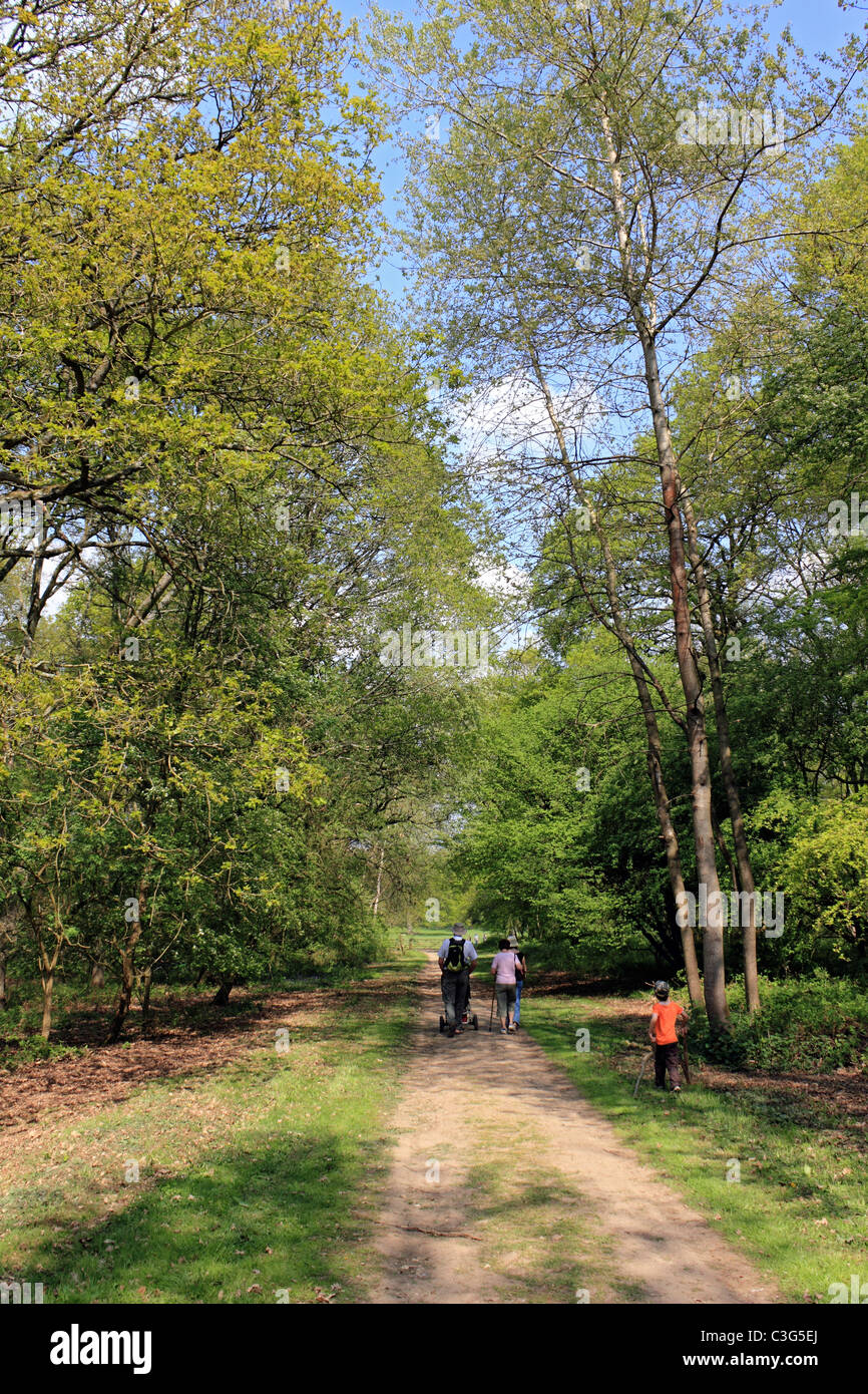 Guildford park track hi-res stock photography and images - Alamy