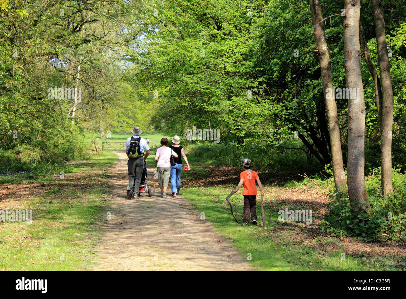 Guildford park track hi-res stock photography and images - Alamy