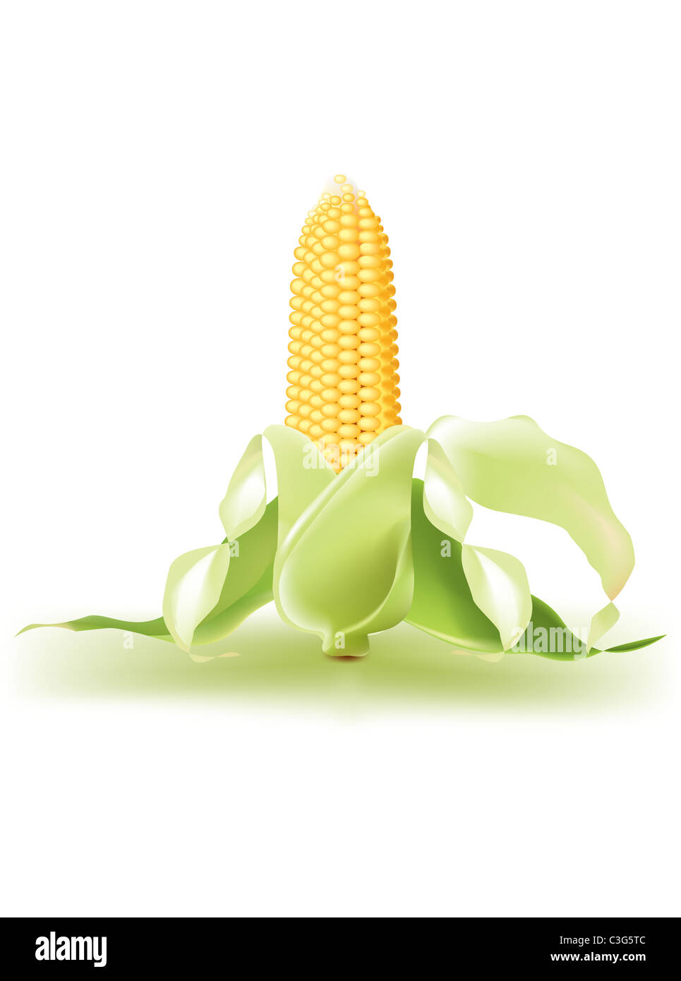 Raw corn peeled Stock Photo - Alamy