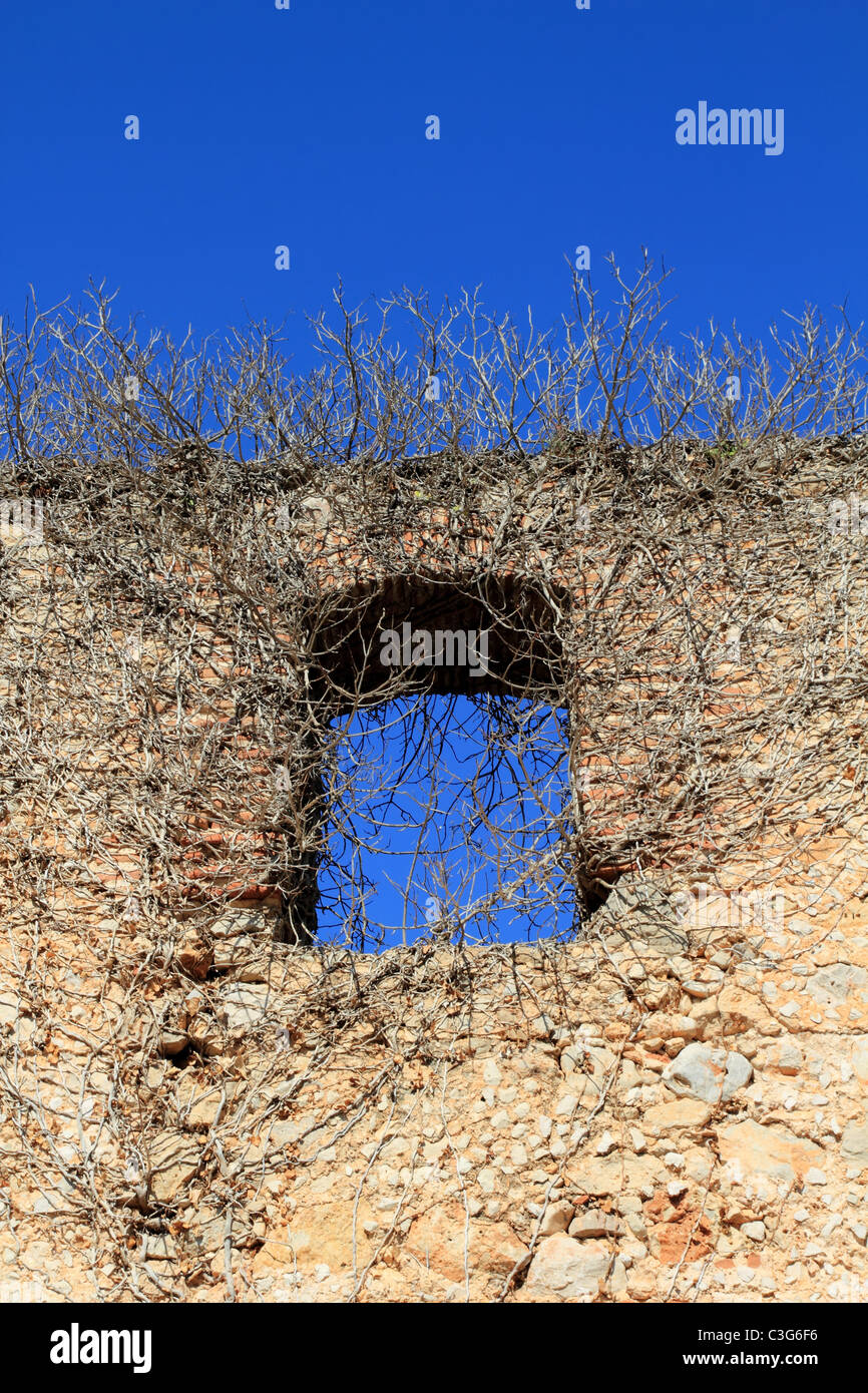 Castle wall window hi-res stock photography and images - Alamy