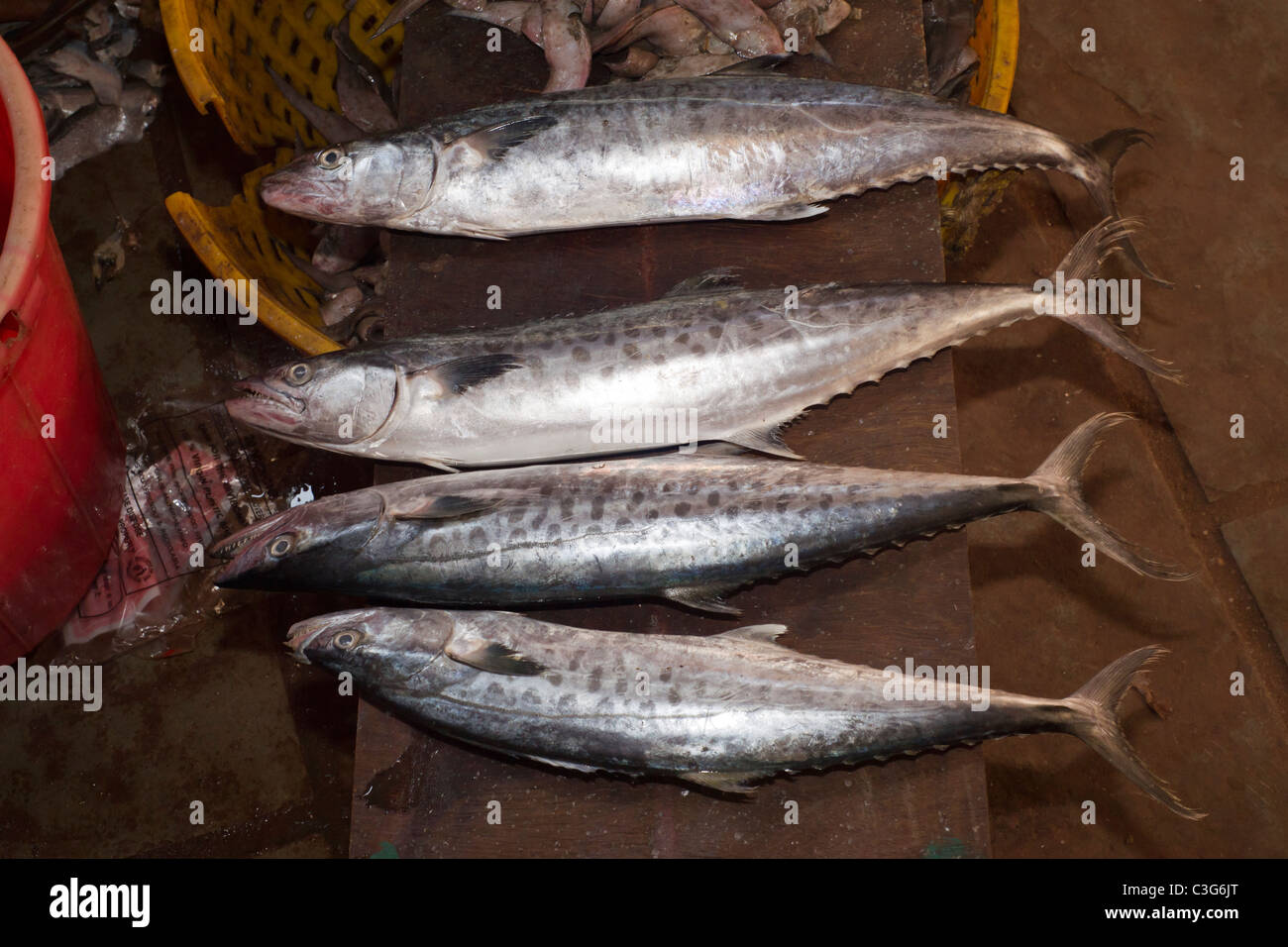 Goa calangute fish market hi-res stock photography and images - Alamy