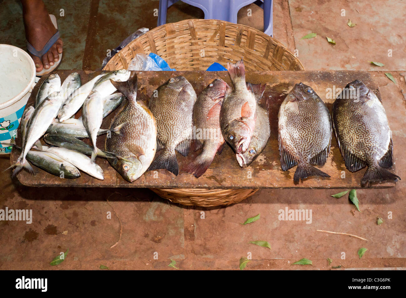 Calangute market hi-res stock photography and images - Alamy