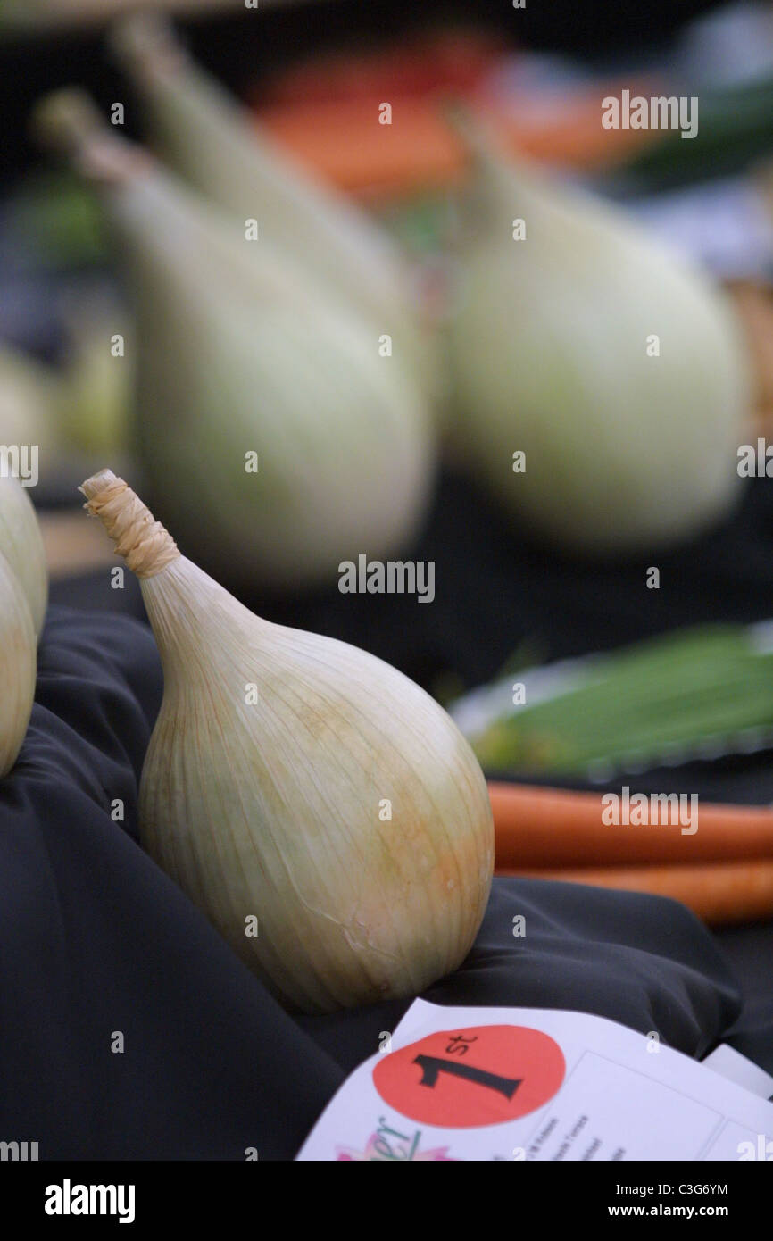 Prize winning vegetables on display at a Flower and country show, in ...