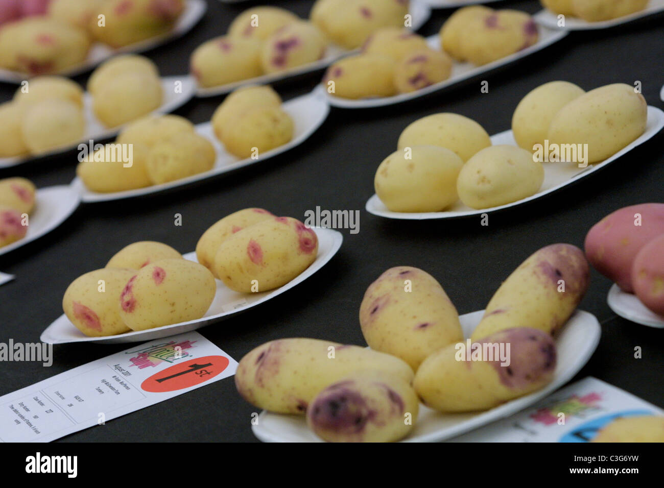 Prize winning vegetables on display at a Flower and country show, in ...