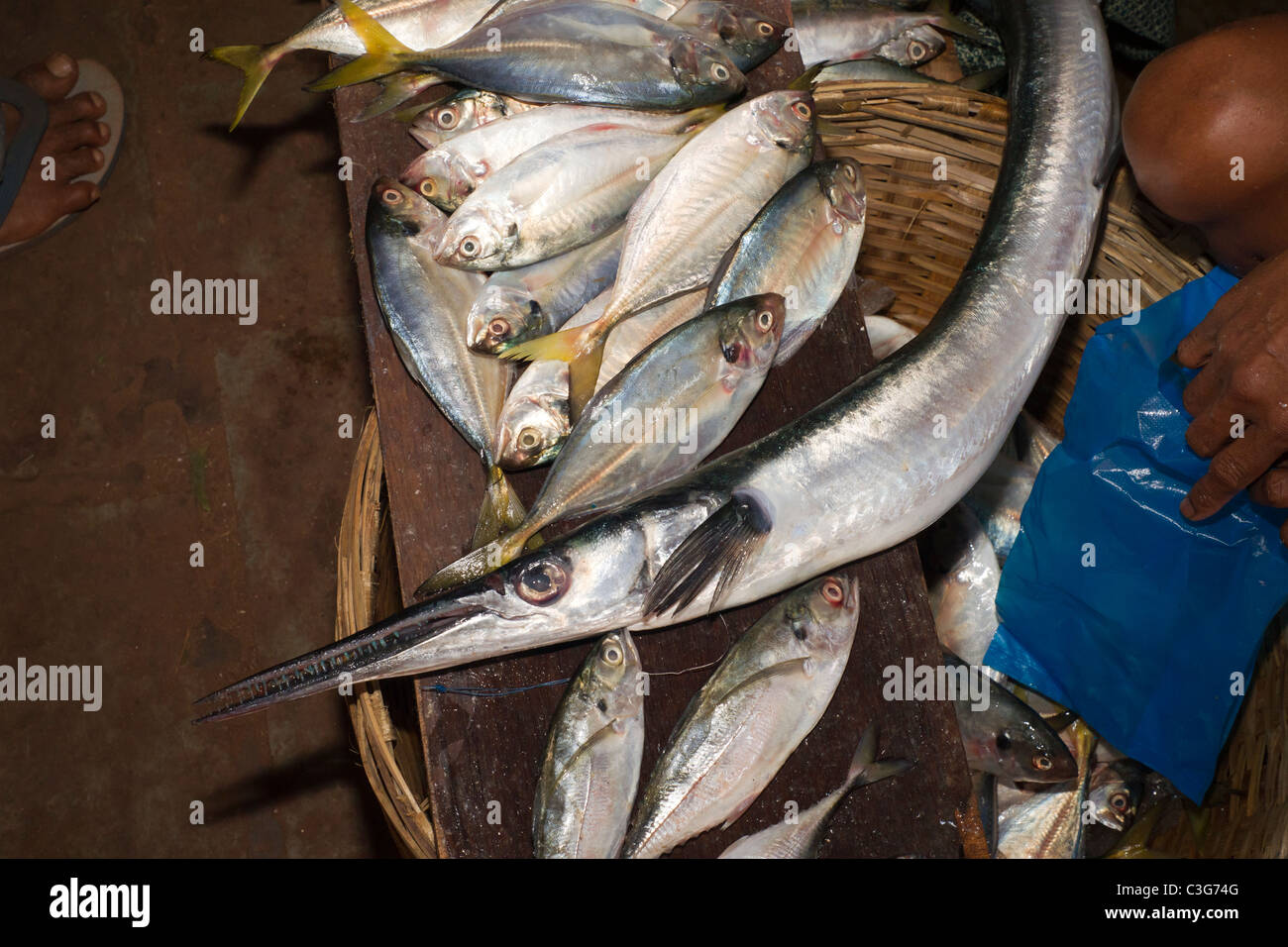 Goa fishmarket hi-res stock photography and images - Alamy