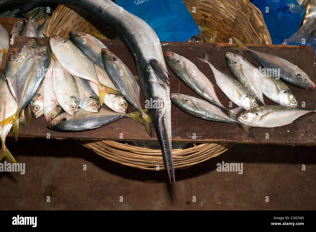 Goa fishmarket hi-res stock photography and images - Alamy