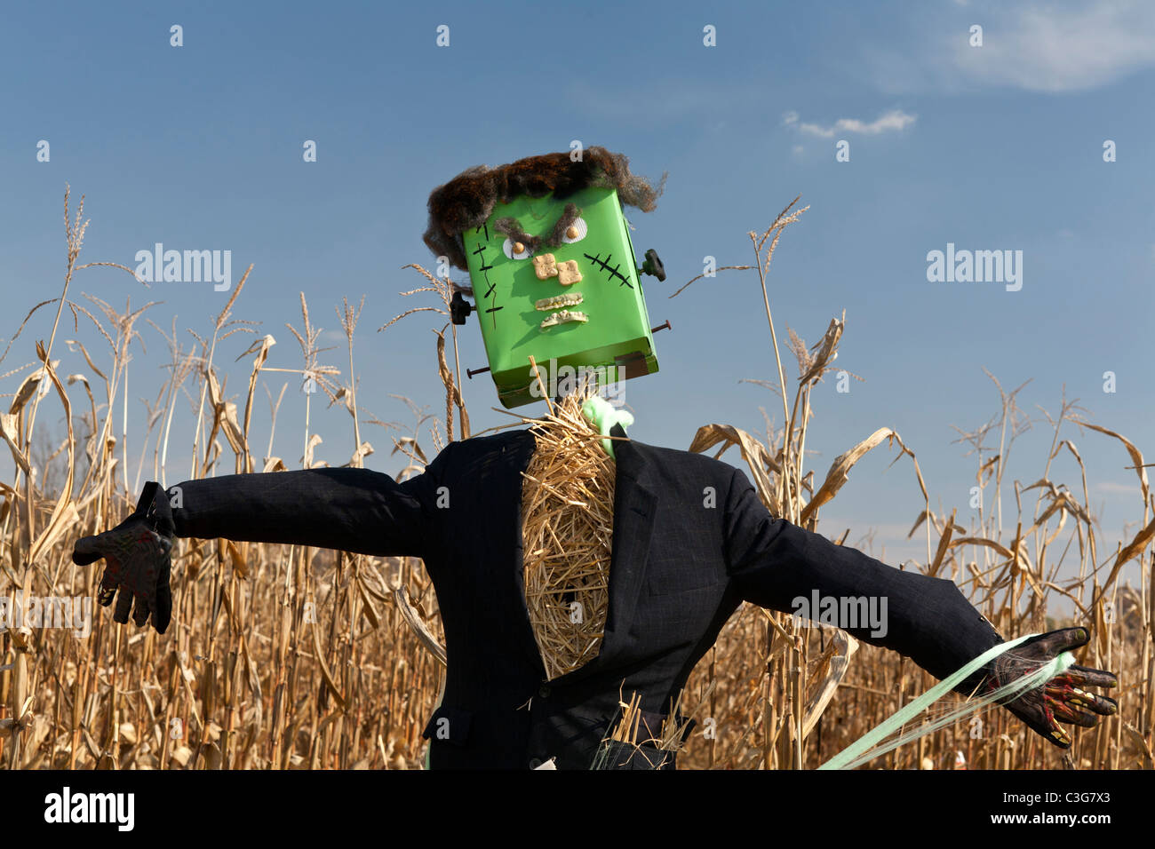 Scarecrow monster hi-res stock photography and images - Alamy