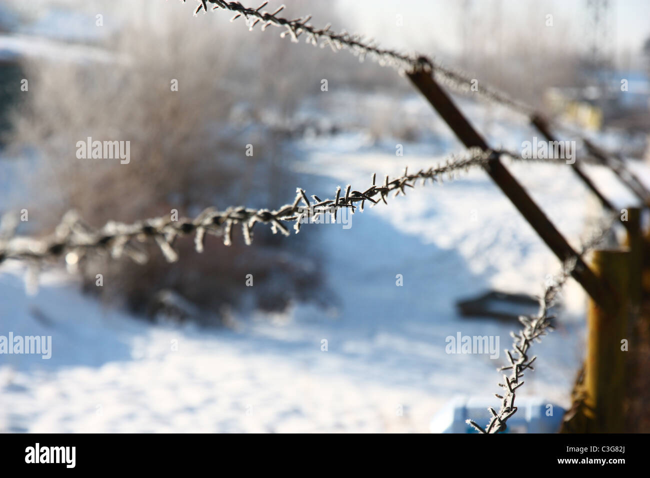 Metal barbed wire close up against the sky Stock Photo - Alamy