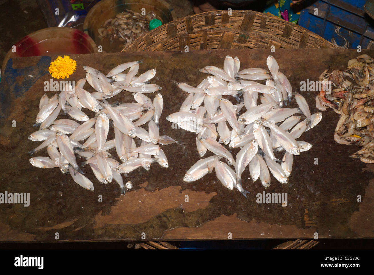 Goa calangute fish market hi-res stock photography and images - Alamy