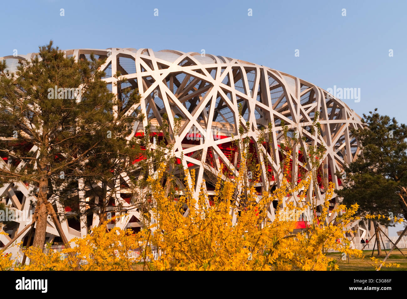 Bird's Nest National Stadium by architects Herzog and De Meuron, 2008 ...