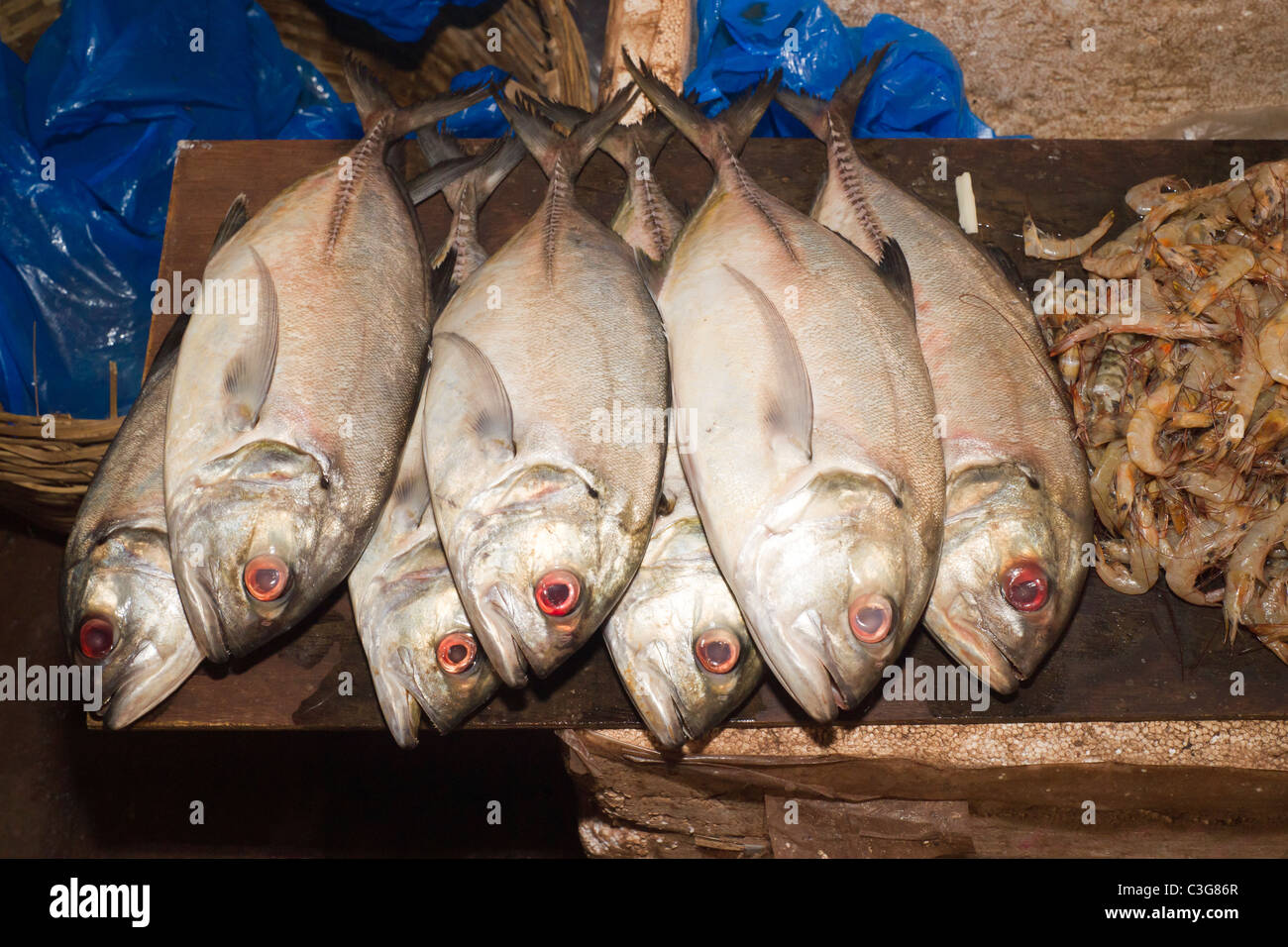 Goa fishmarket hi-res stock photography and images - Alamy
