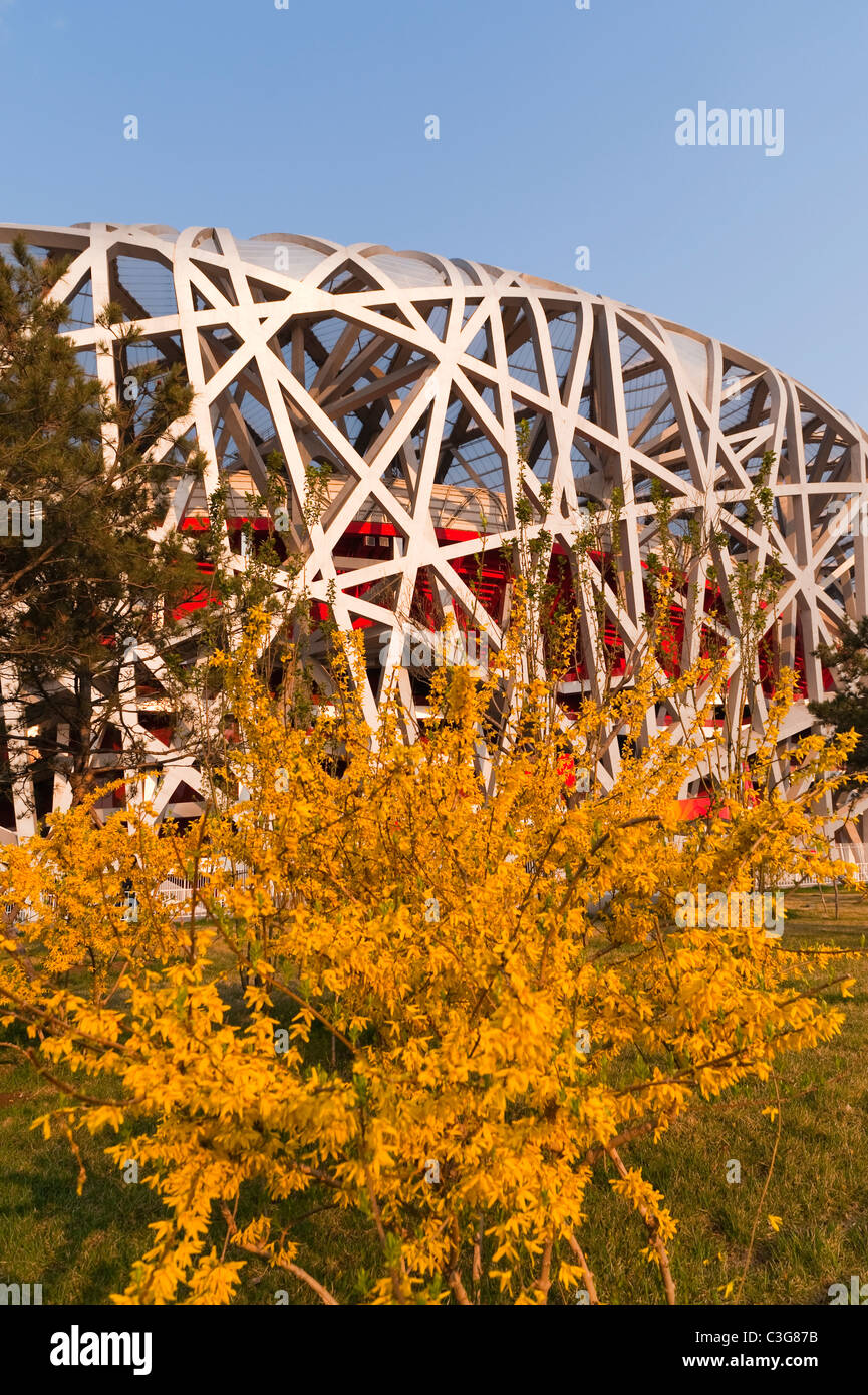 Bird's Nest National Stadium by architects Herzog and De Meuron, 2008 ...