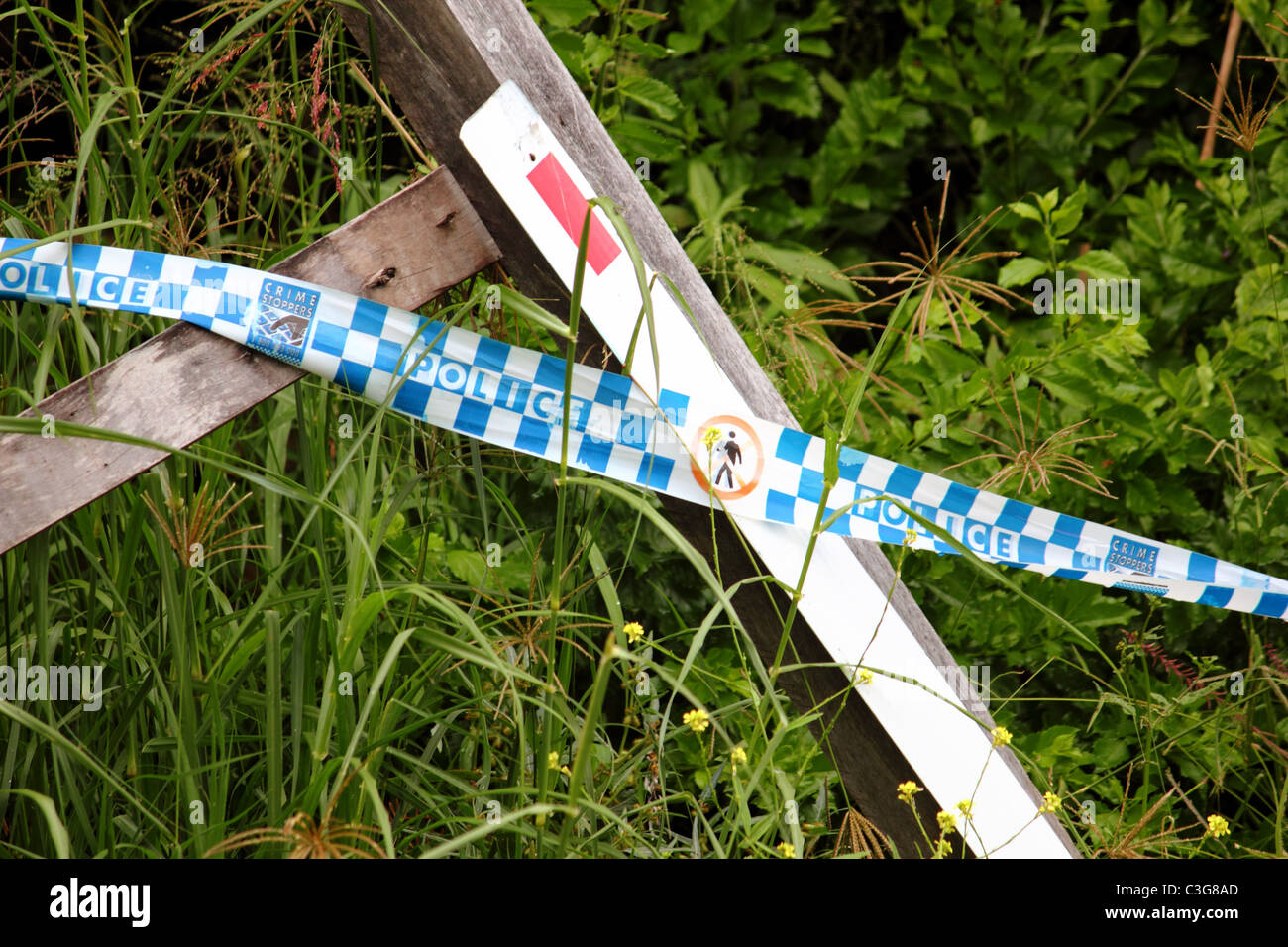 POLICE CRIME SCENE TAPE BDB12101 GRASS BACKGROUND HORIZONTAL Stock ...