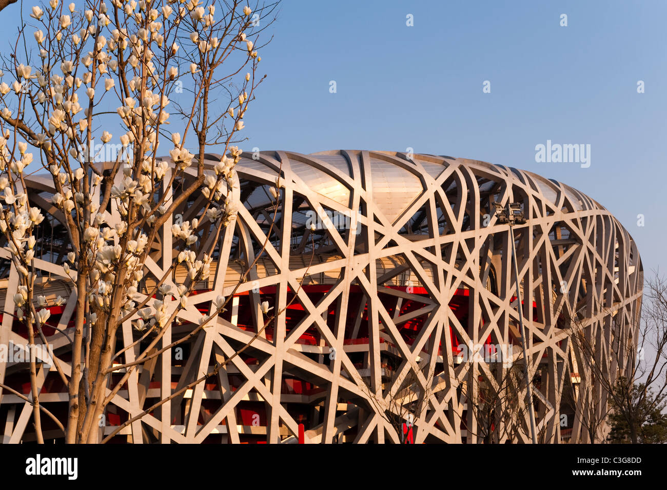 Bird's Nest National Stadium by architects Herzog and De Meuron, 2008 ...