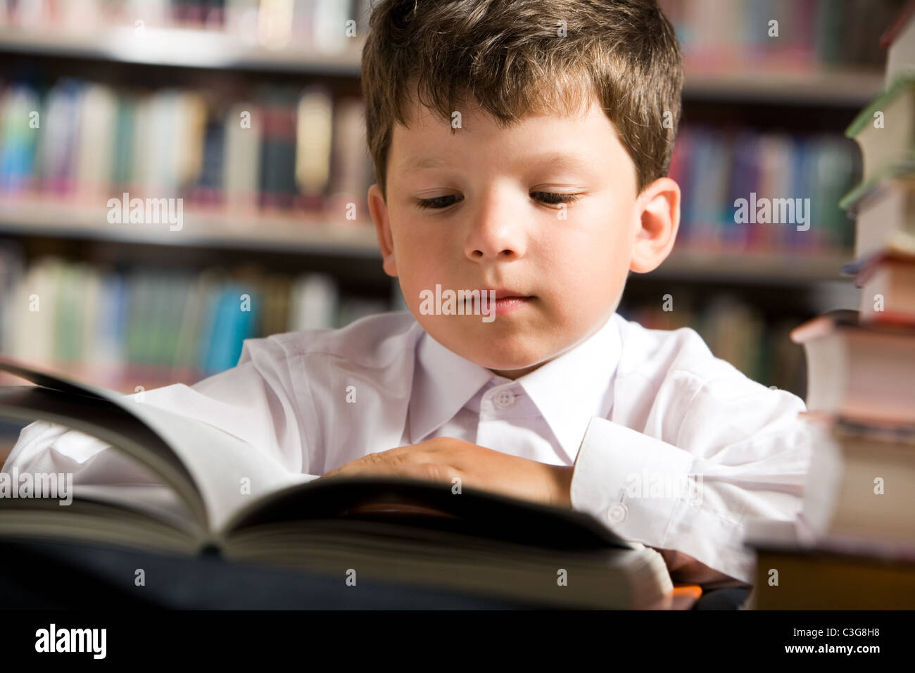 Close-up of cute boy reading book while preparing for lesson in library ...