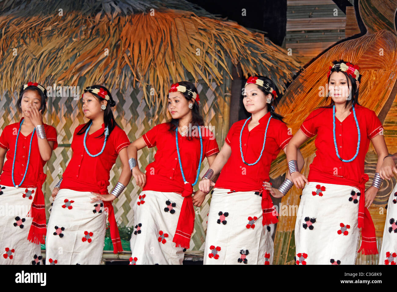 Nyishi tribes, women performing dance at Namdapha Eco Cultural Festival ...