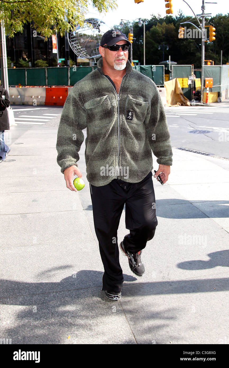 Goldberg Wrestler High Resolution Stock Photography and Images - Alamy