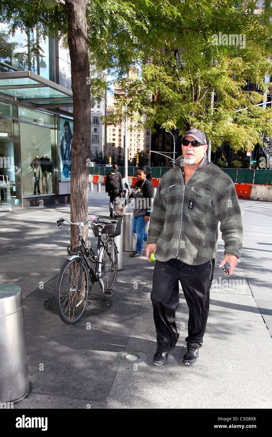 Goldberg Wrestler High Resolution Stock Photography and Images - Alamy