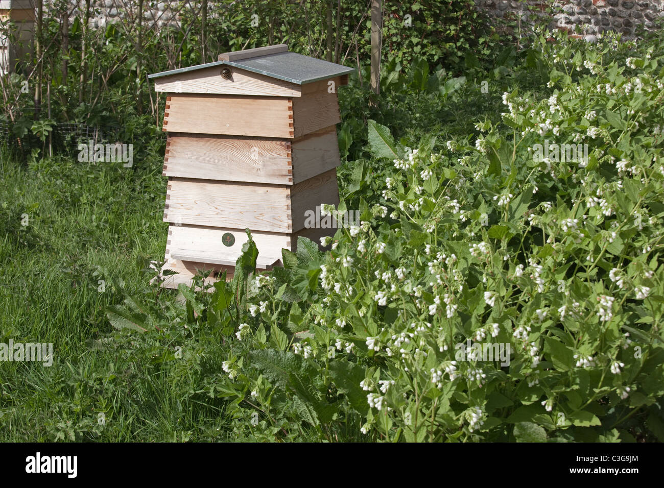 Traditional beehives hi-res stock photography and images - Alamy