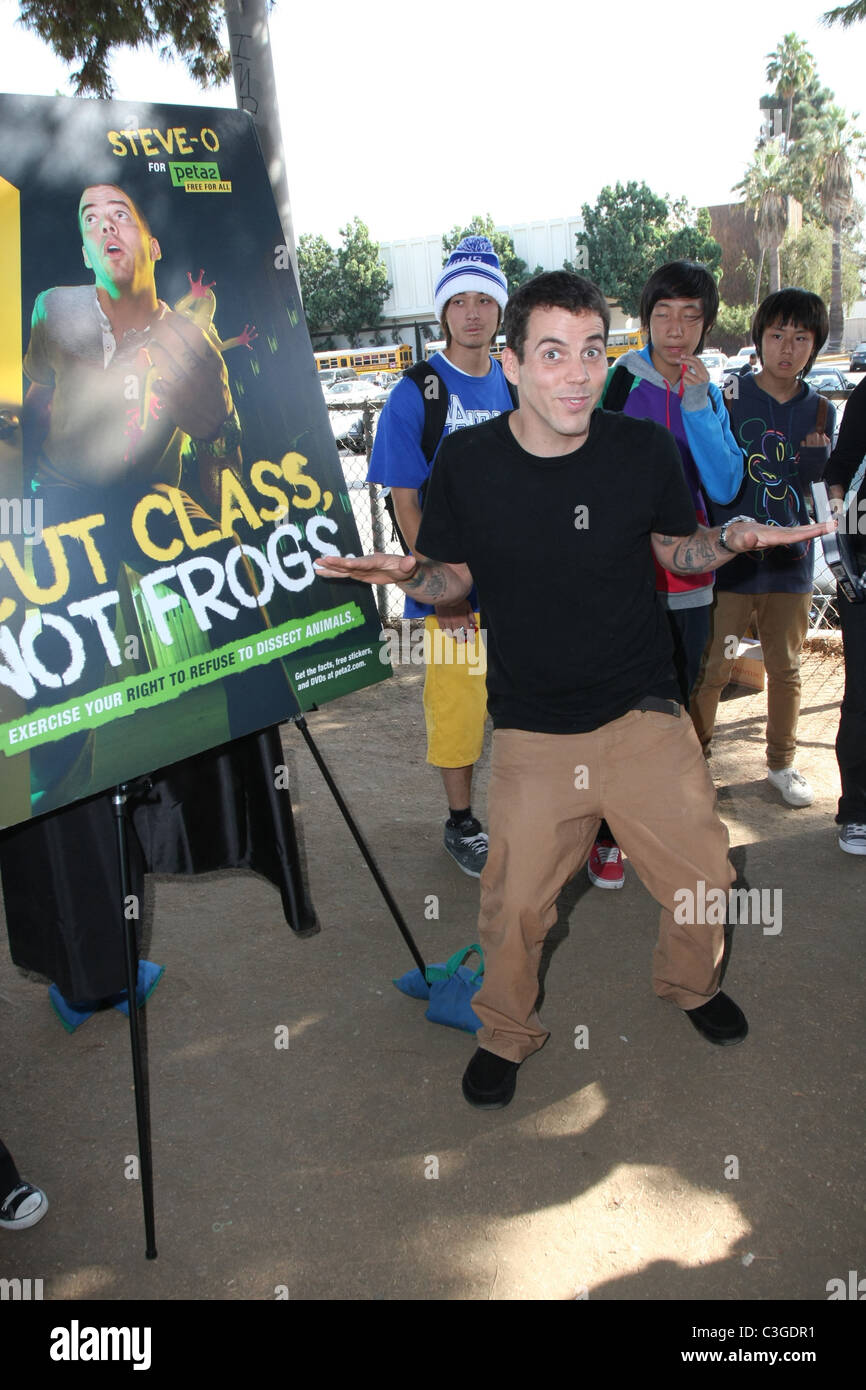 Funny Campaign Posters High School