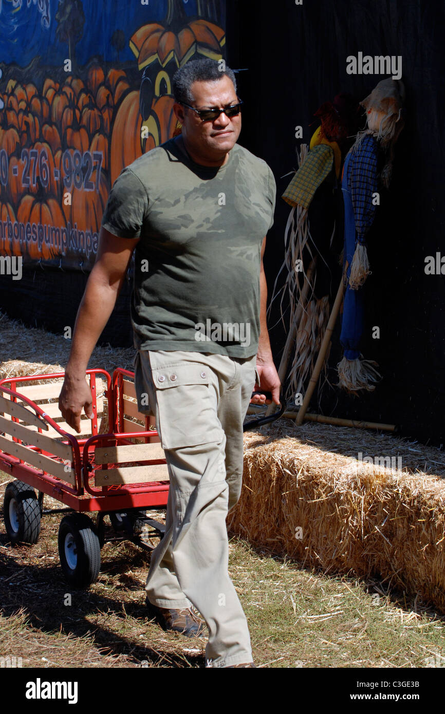 Laurence fishburne sunglasses hi-res stock photography and images - Alamy