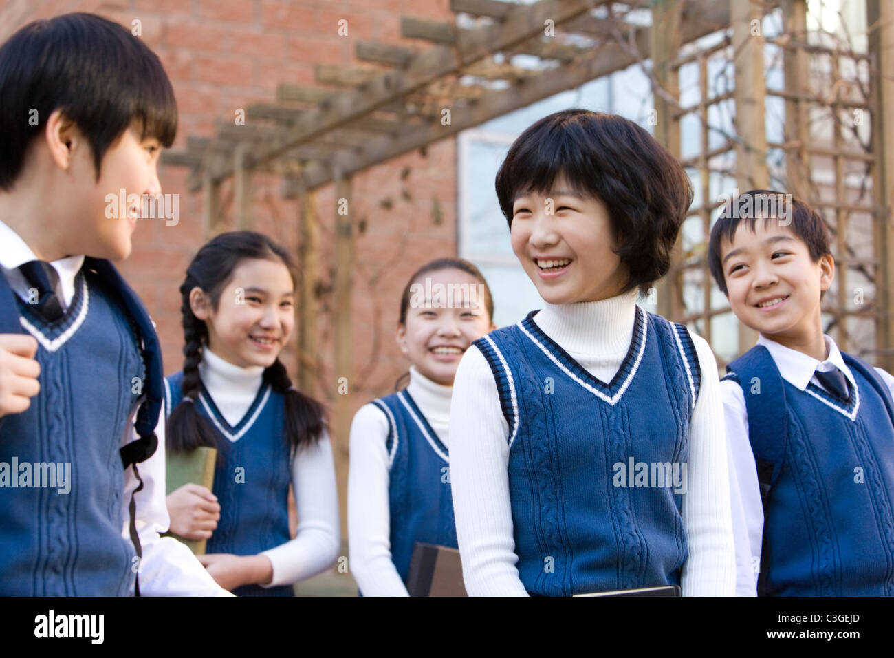 Five classmates talking in campus Stock Photo - Alamy