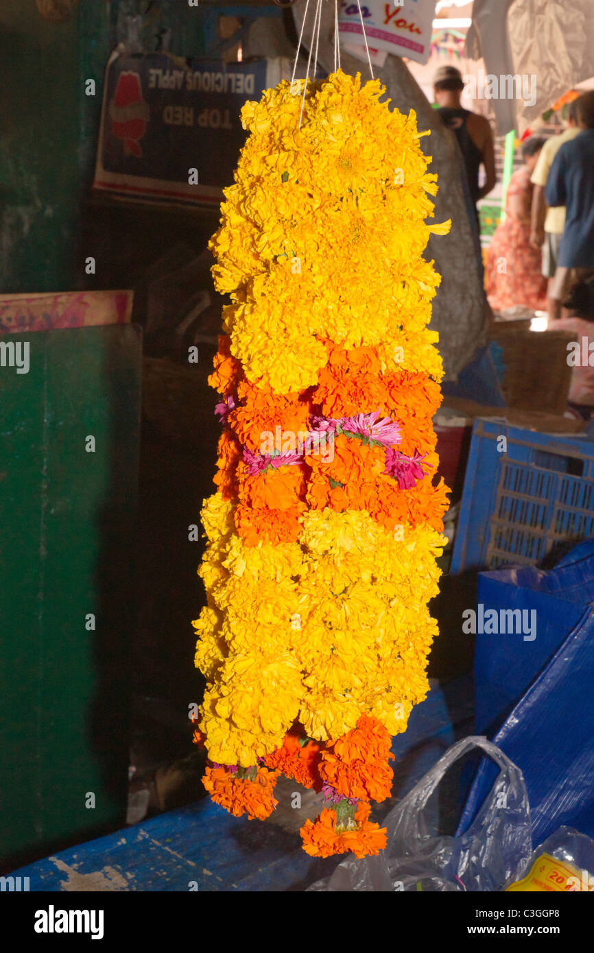 Orange garlands in Calangute market Goa, India Stock Photo - Alamy