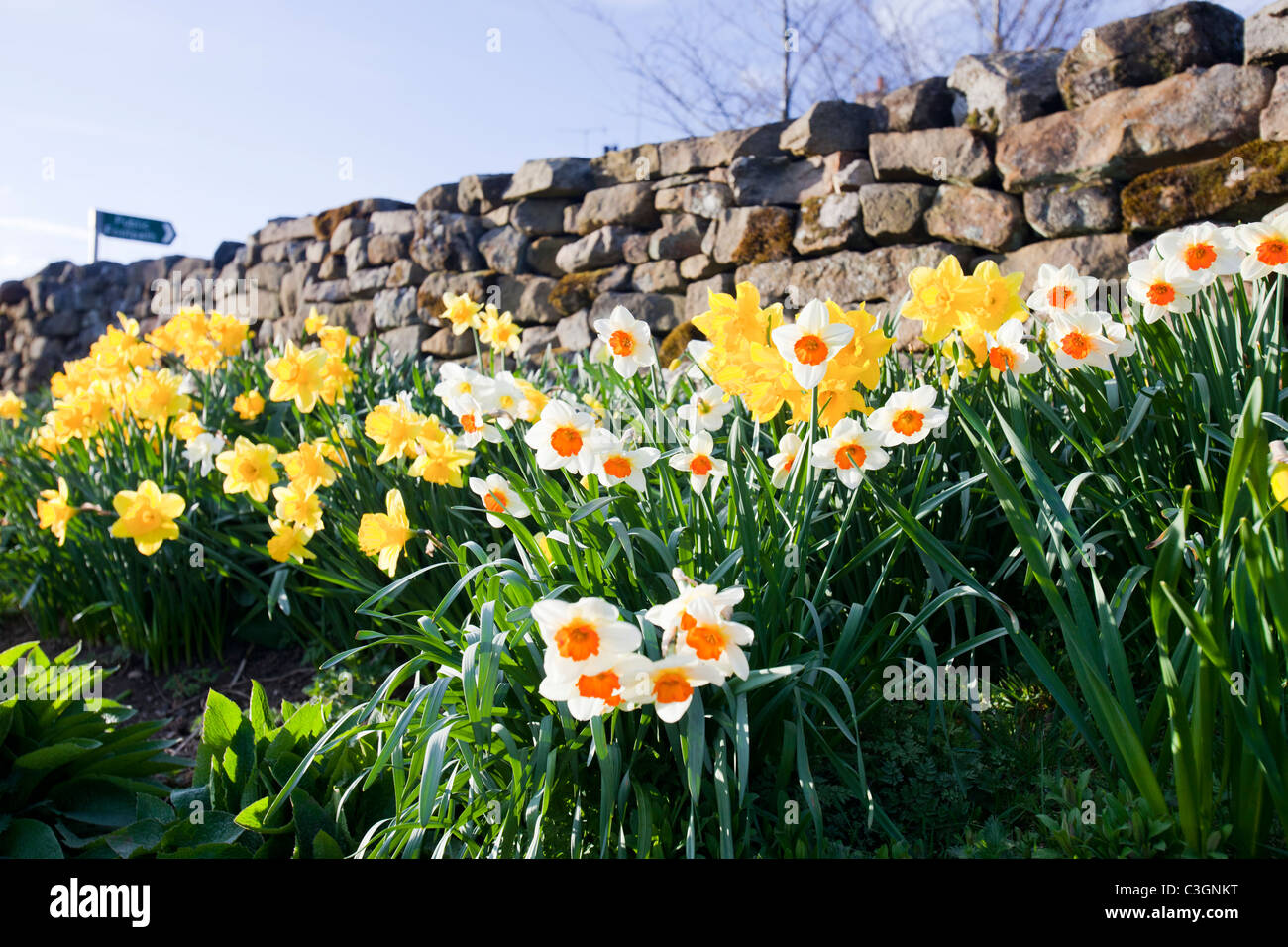 Rosedale Stock Photos & Rosedale Stock Images - Alamy
