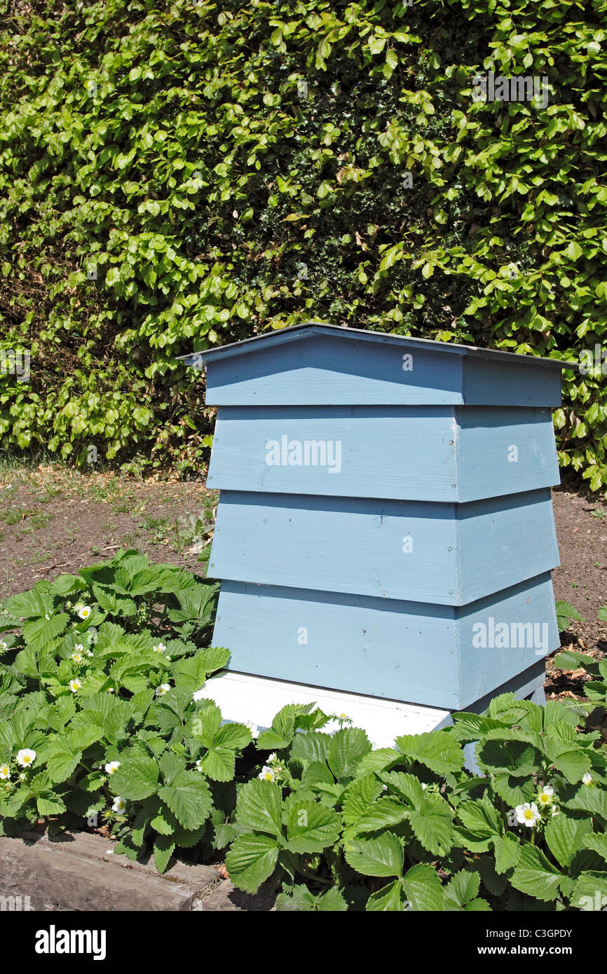 A blue beehive Stock Photo - Alamy