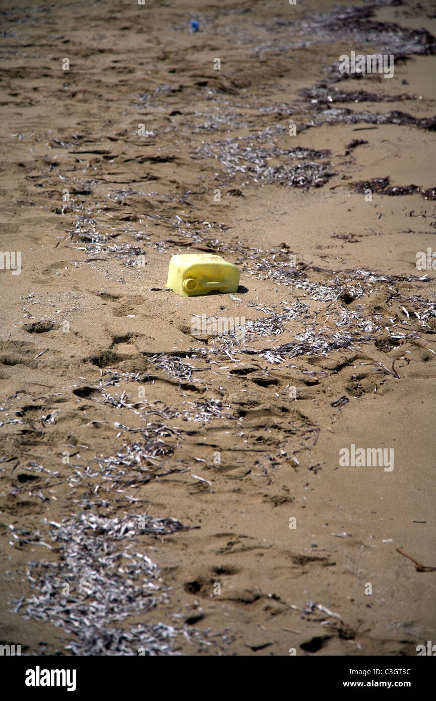 garbage washed up onto the beach Stock Photo - Alamy