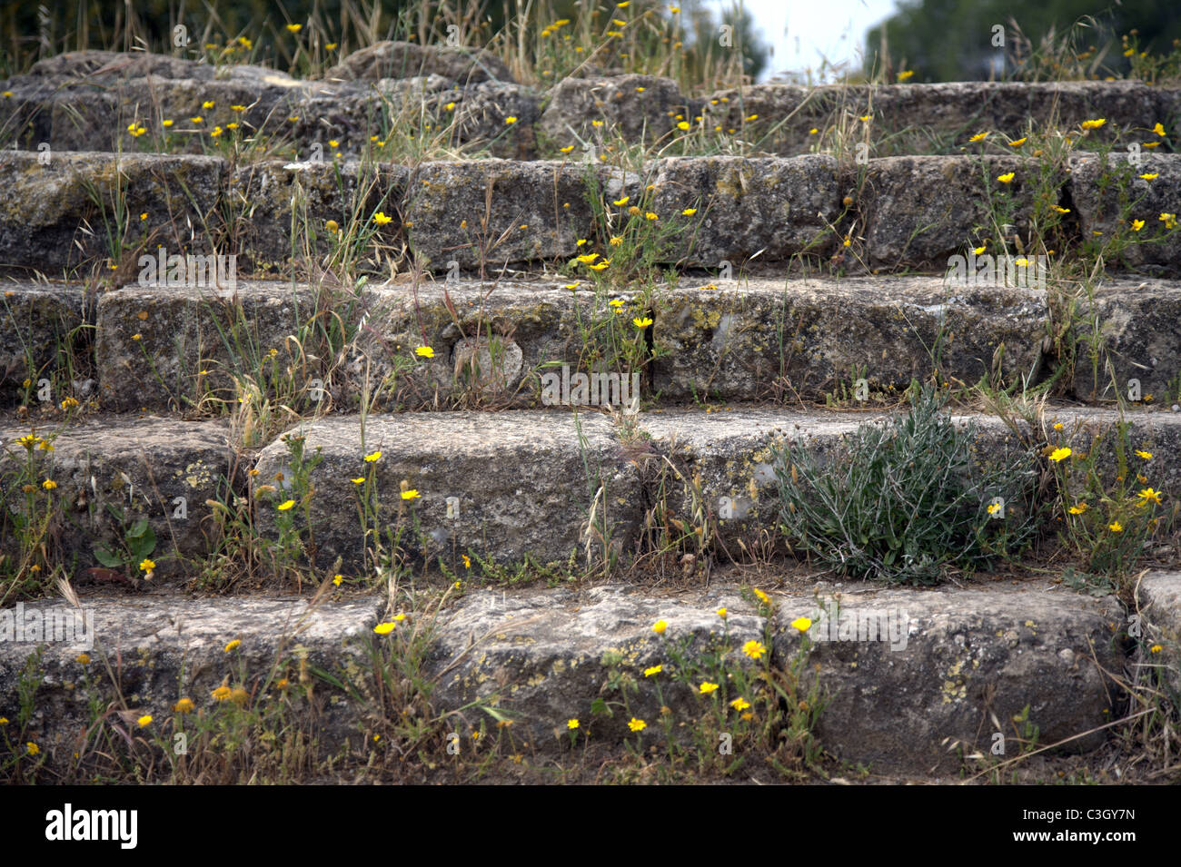 Ancient steps hi-res stock photography and images - Alamy