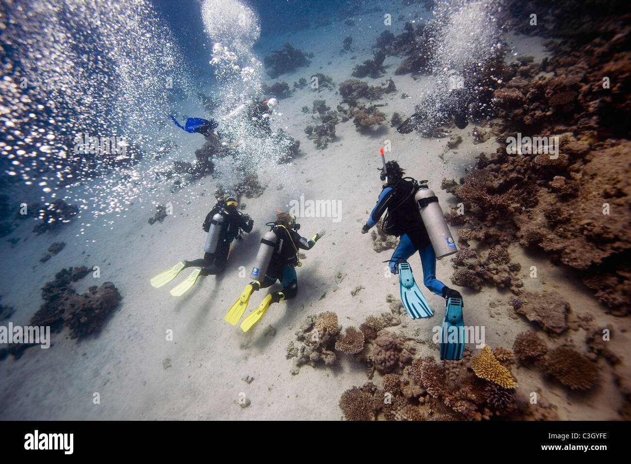 Diving in egypt hi-res stock photography and images - Alamy