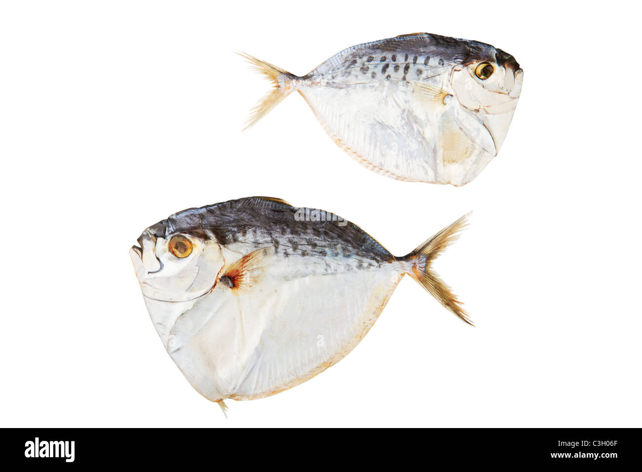 Dried fish isolated on a white background Stock Photo - Alamy