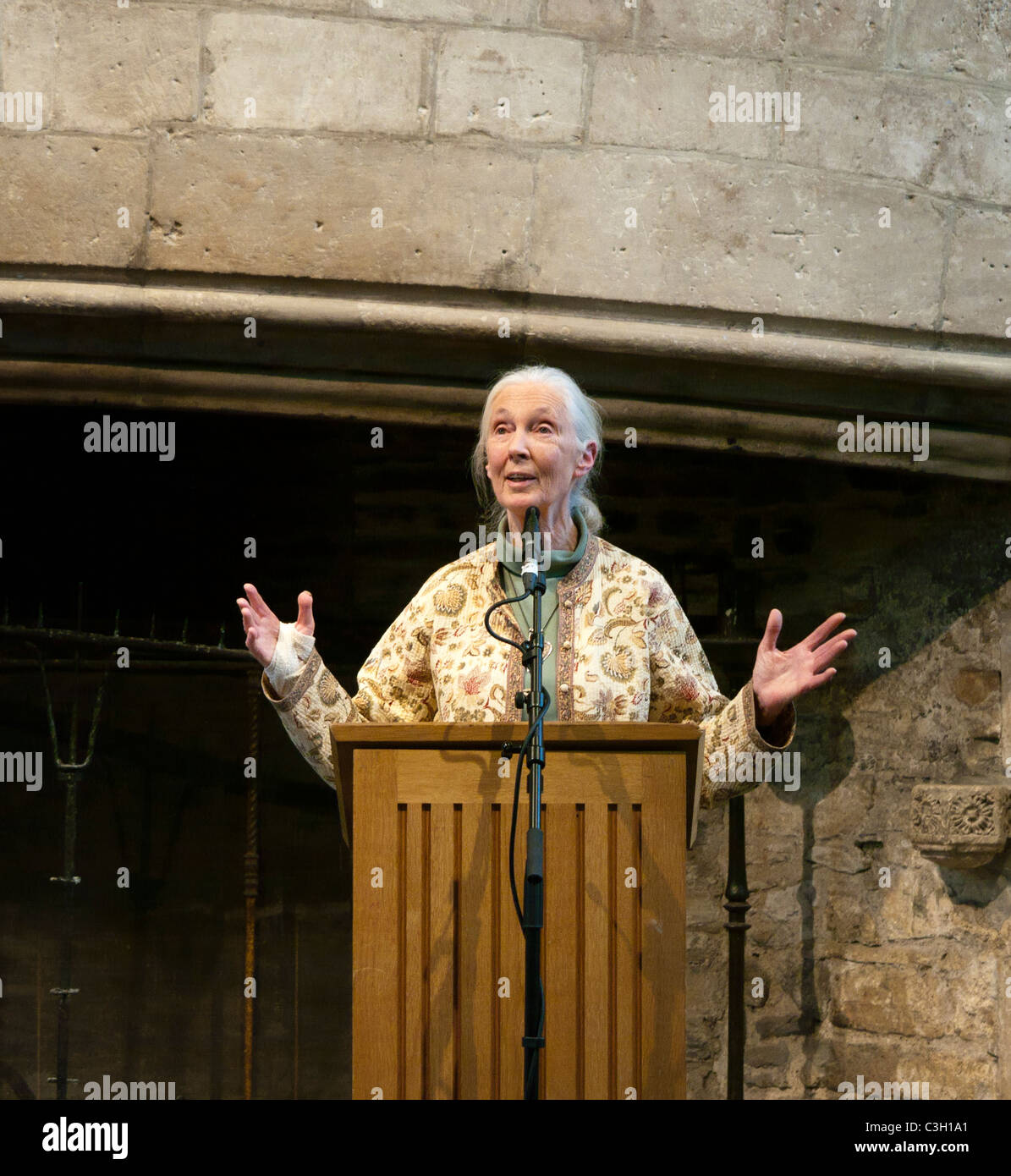 Jane goodall hi-res stock photography and images - Alamy