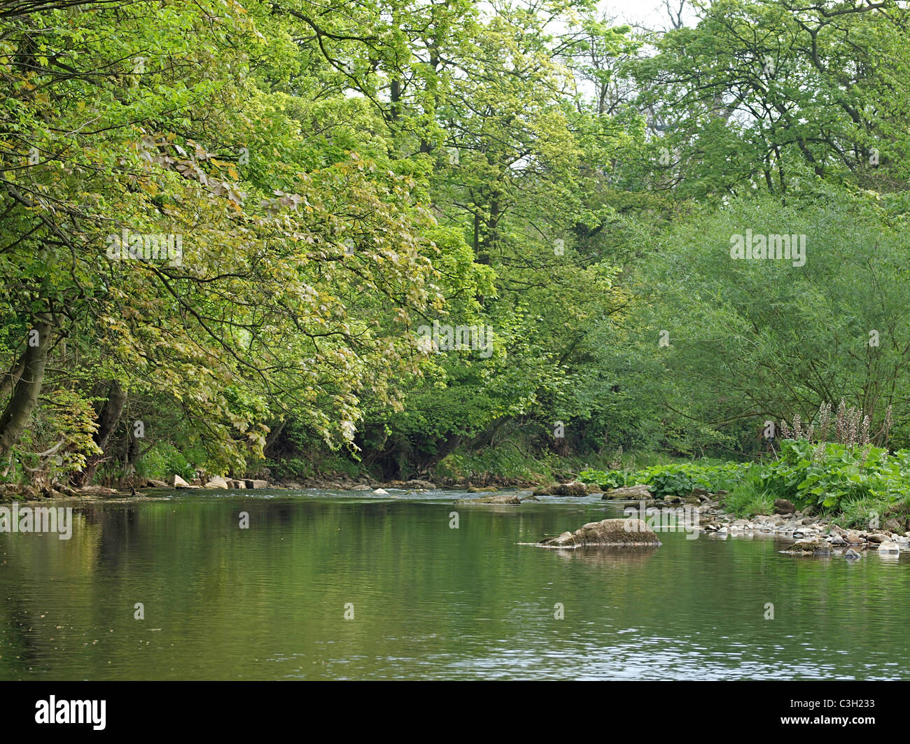 River Manifold at Ilam in the Peak District National Park, a popular ...